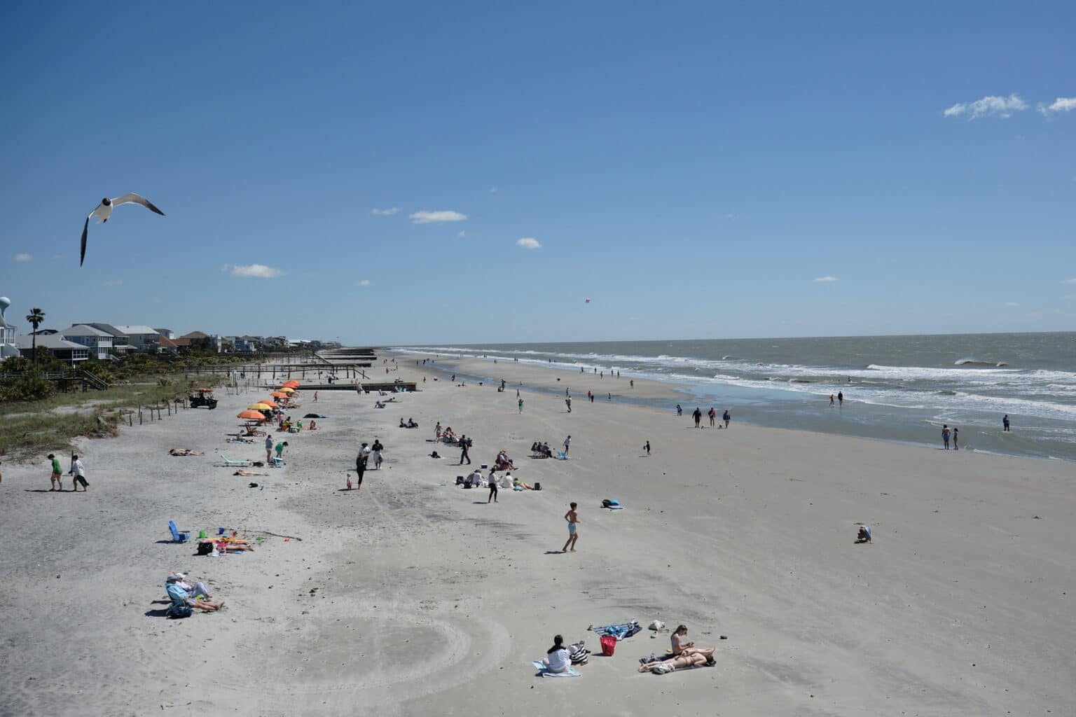 Practical Guide to the Best Charleston, SC Beaches