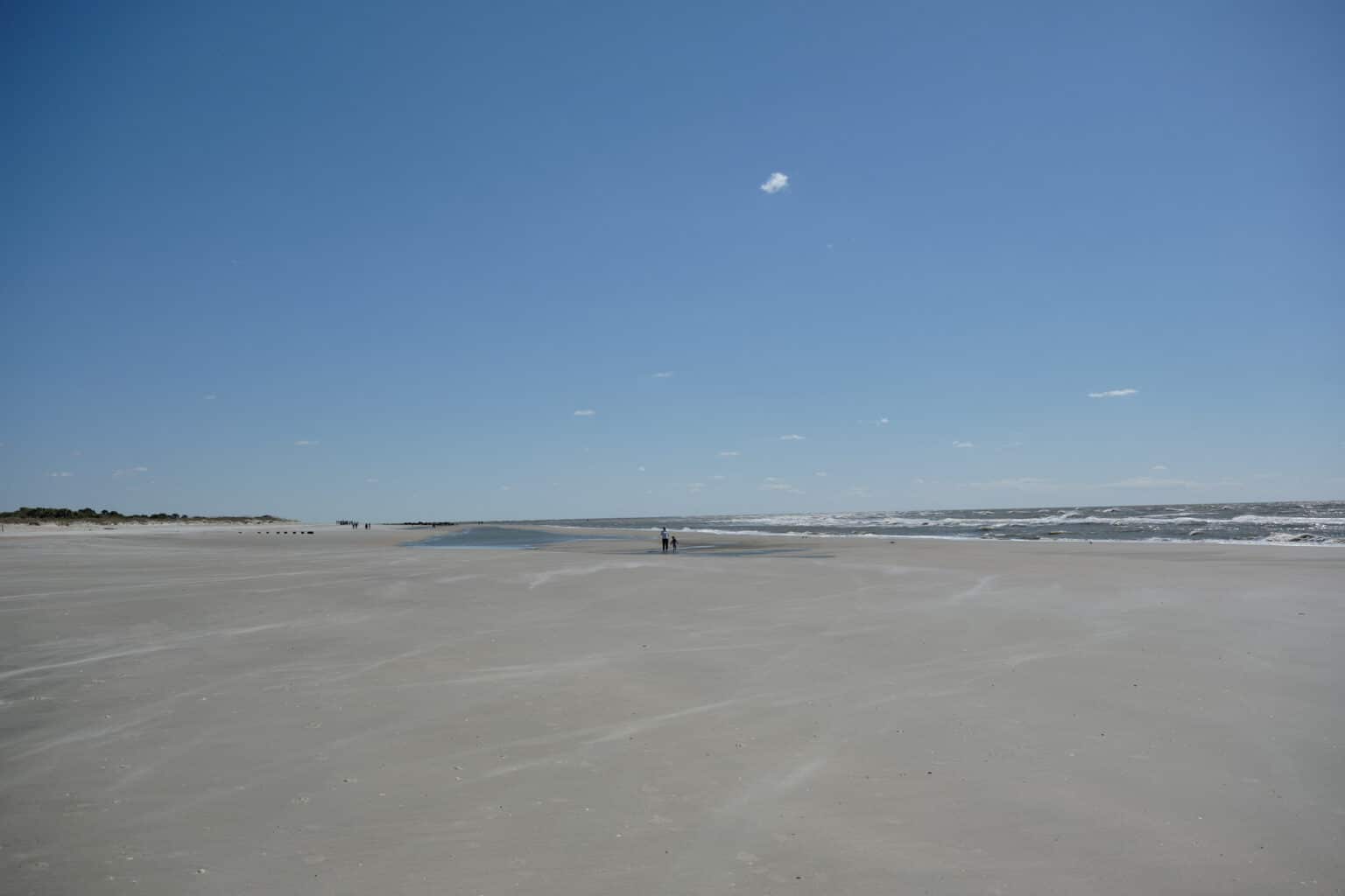 Practical Guide to the Best Charleston, SC Beaches