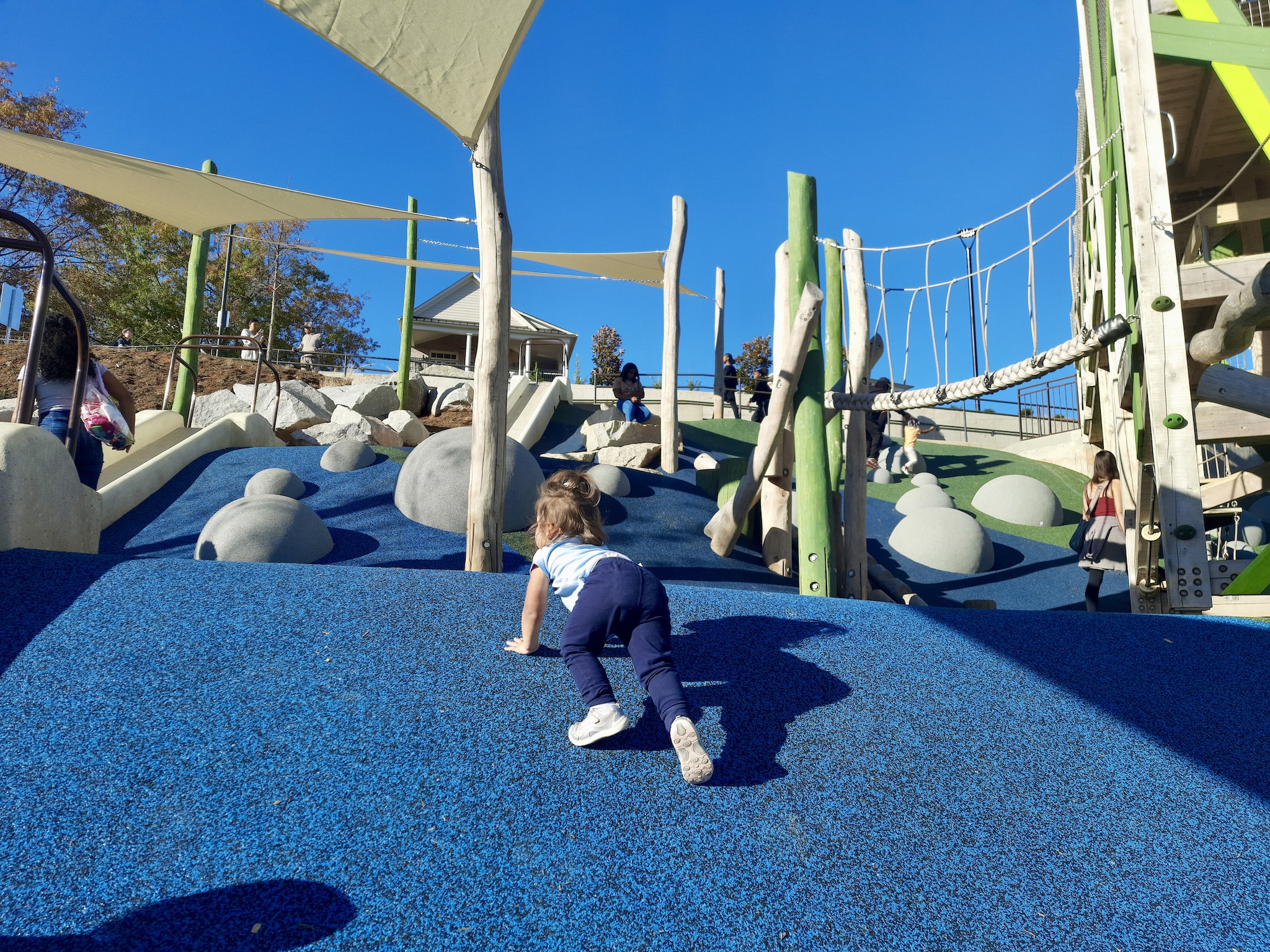 Renovated Finlay Park in Columbia, SC: Review and Guide
